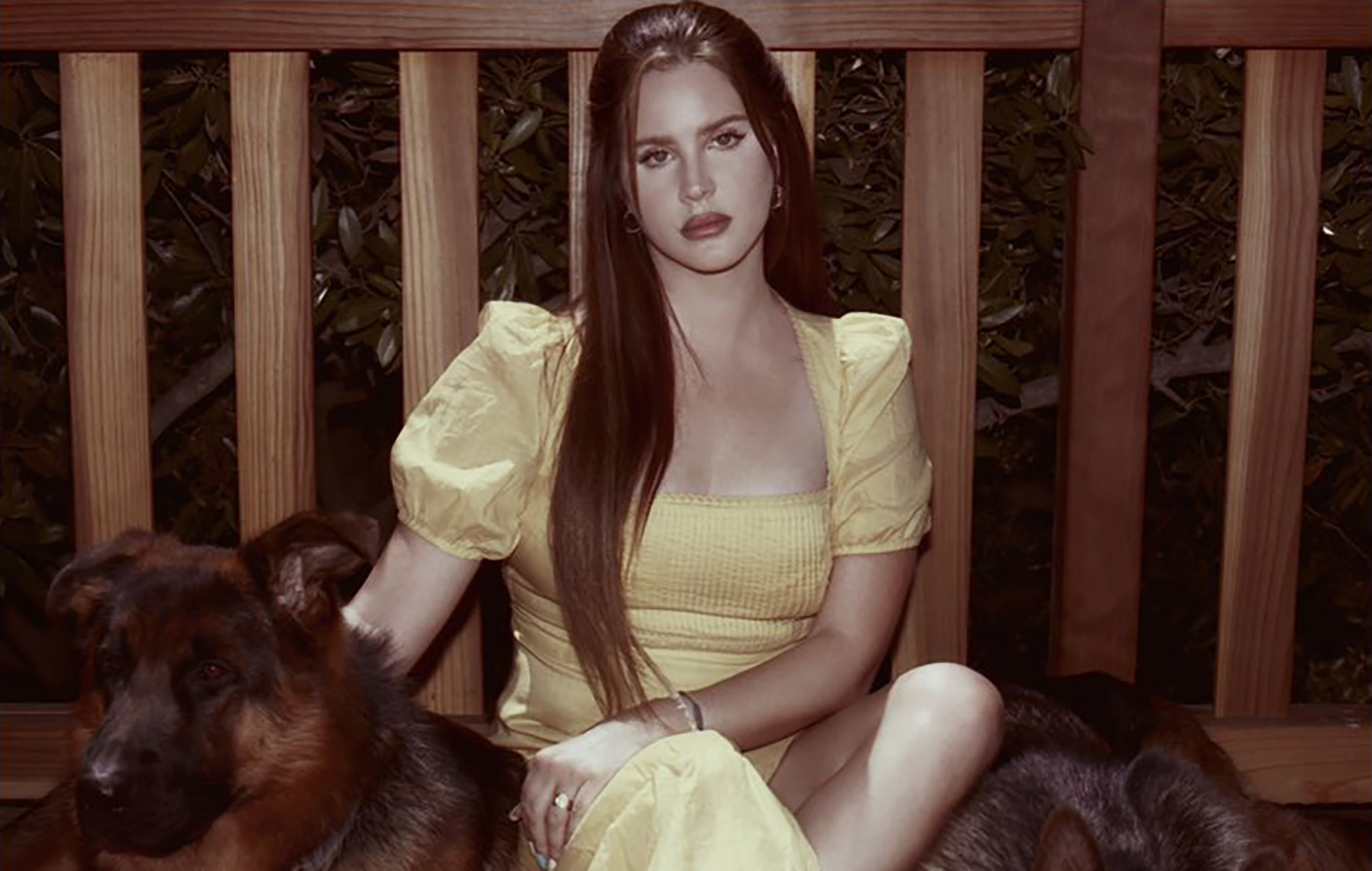 Blue Banisters Lana Del Rey Divulga Seu Oitavo lbum UPdatePOP Blue Banisters Lana Del Rey Divulga Seu Oitavo lbum UPdatePOP